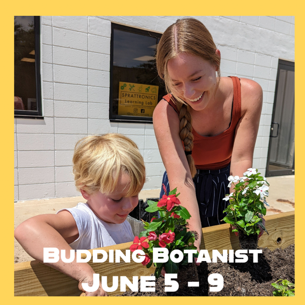 Greenville Summer Camp - Sprattronics